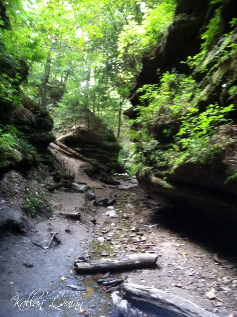 Turkey Run State Park – Indiana – Planned Spontaneity
