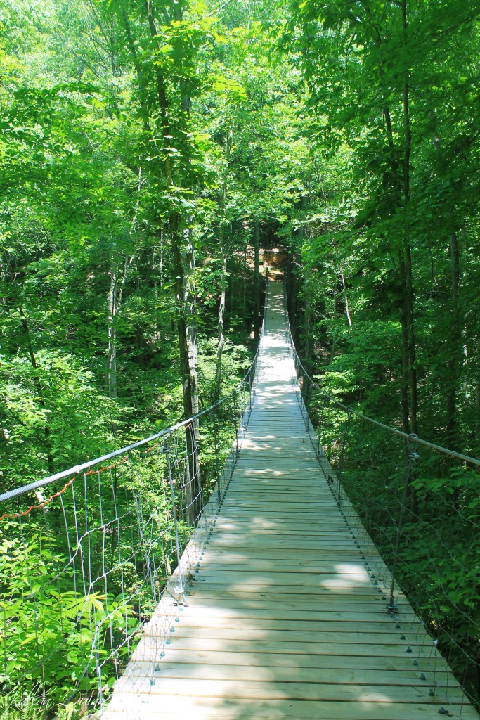 Tims Ford State Park – Tennessee – Planned Spontaneity