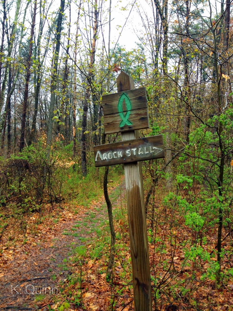 Rock Stalls Natural Sanctuary – Ohio – Planned Spontaneity