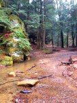 Rock Stalls Natural Sanctuary – Ohio – Planned Spontaneity