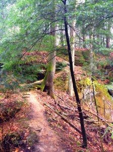Rock Stalls Natural Sanctuary – Ohio – Planned Spontaneity