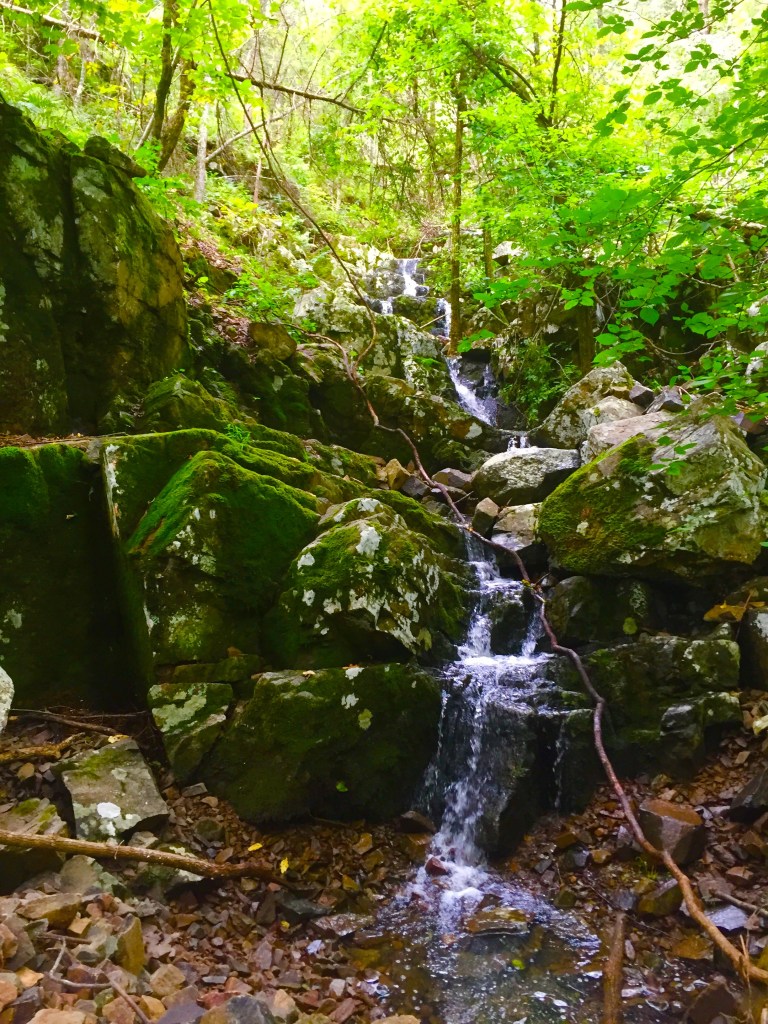 Sam A. Baker State Park – Missouri – Planned Spontaneity