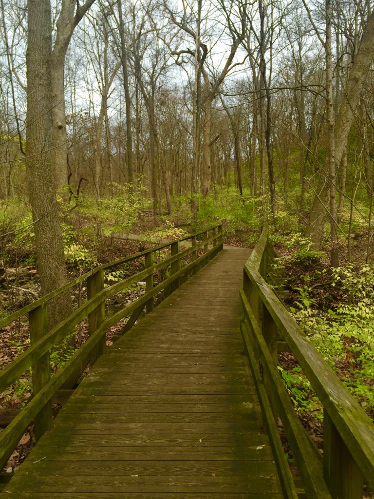 Powder Valley Conservation Nature Center – Missouri – Planned Spontaneity