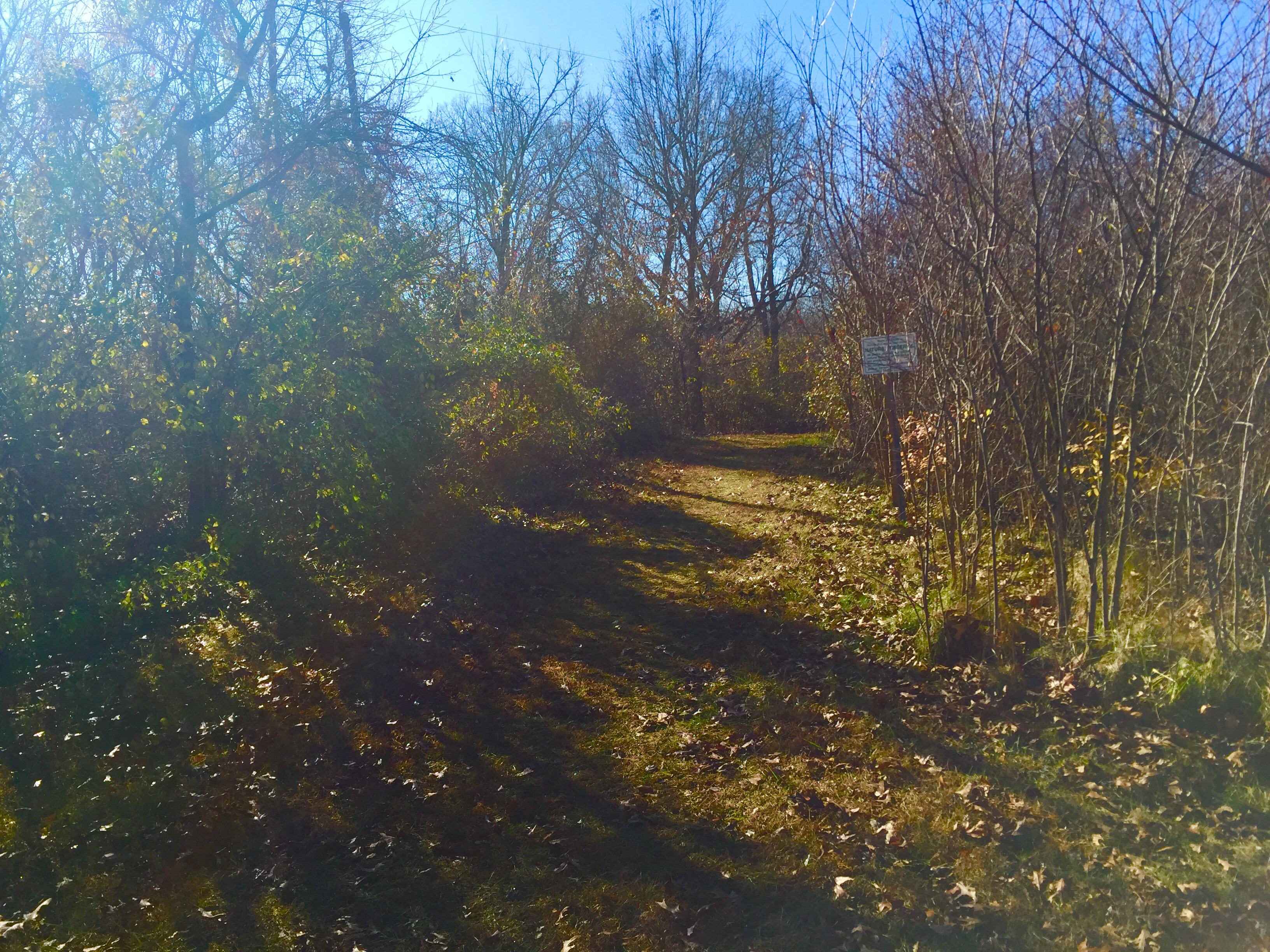 Stemler Cave Woods Nature Preserve – Illinois – Planned Spontaneity