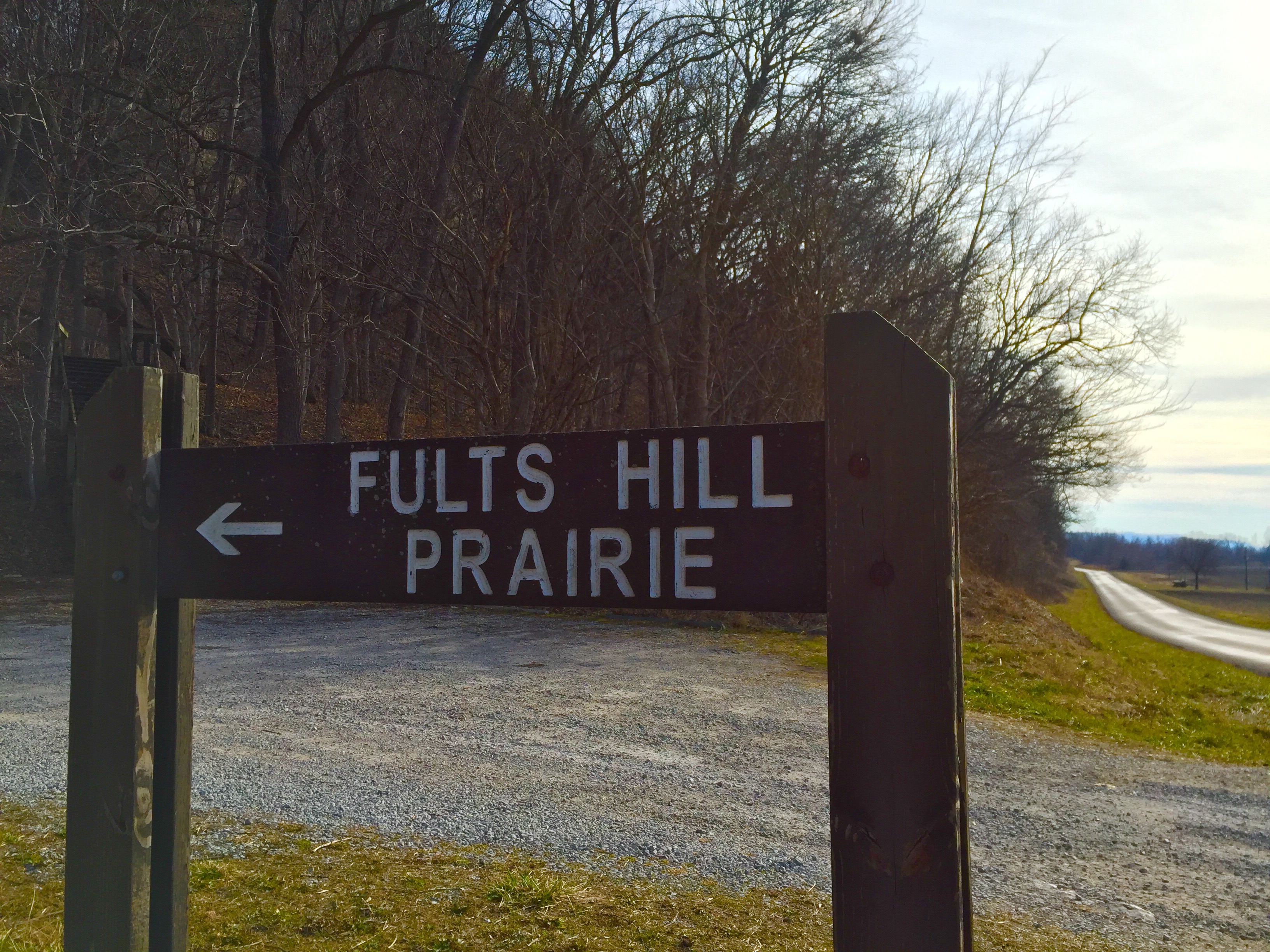 Fults Hill Prairie Nature Preserve – Illinois – Planned Spontaneity