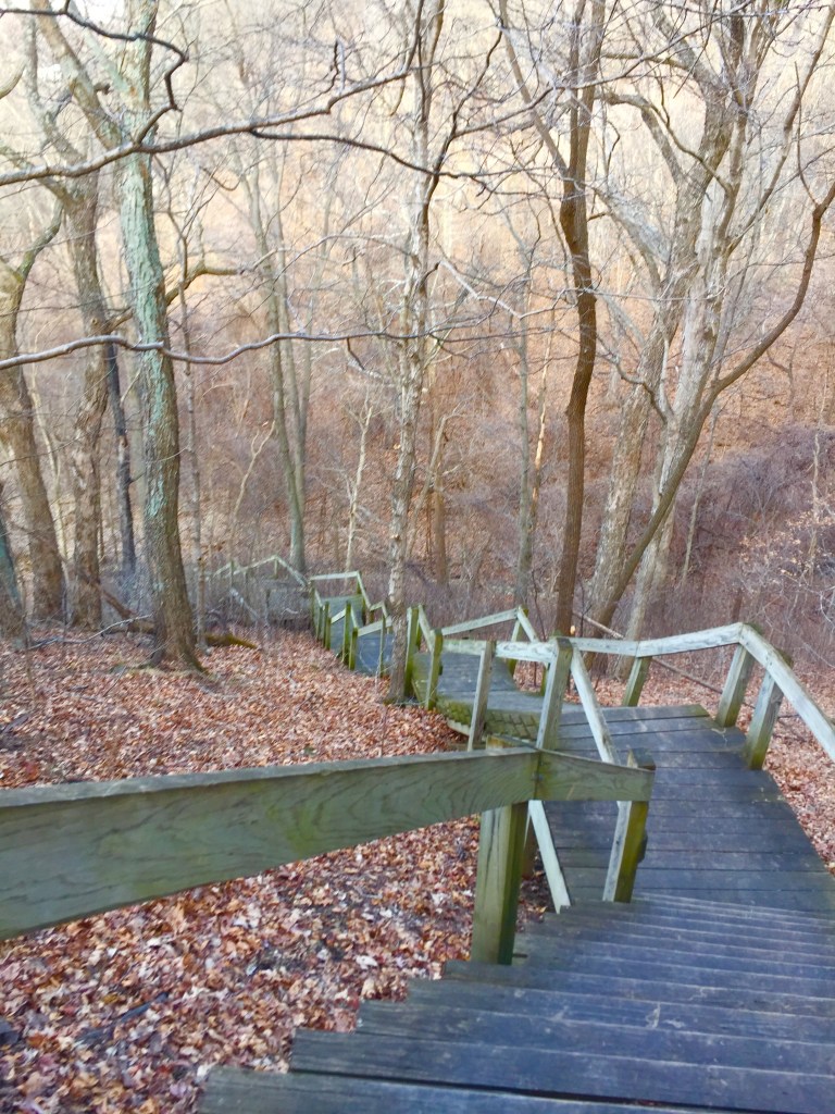 Fults Hill Prairie Nature Preserve – Illinois – Planned Spontaneity