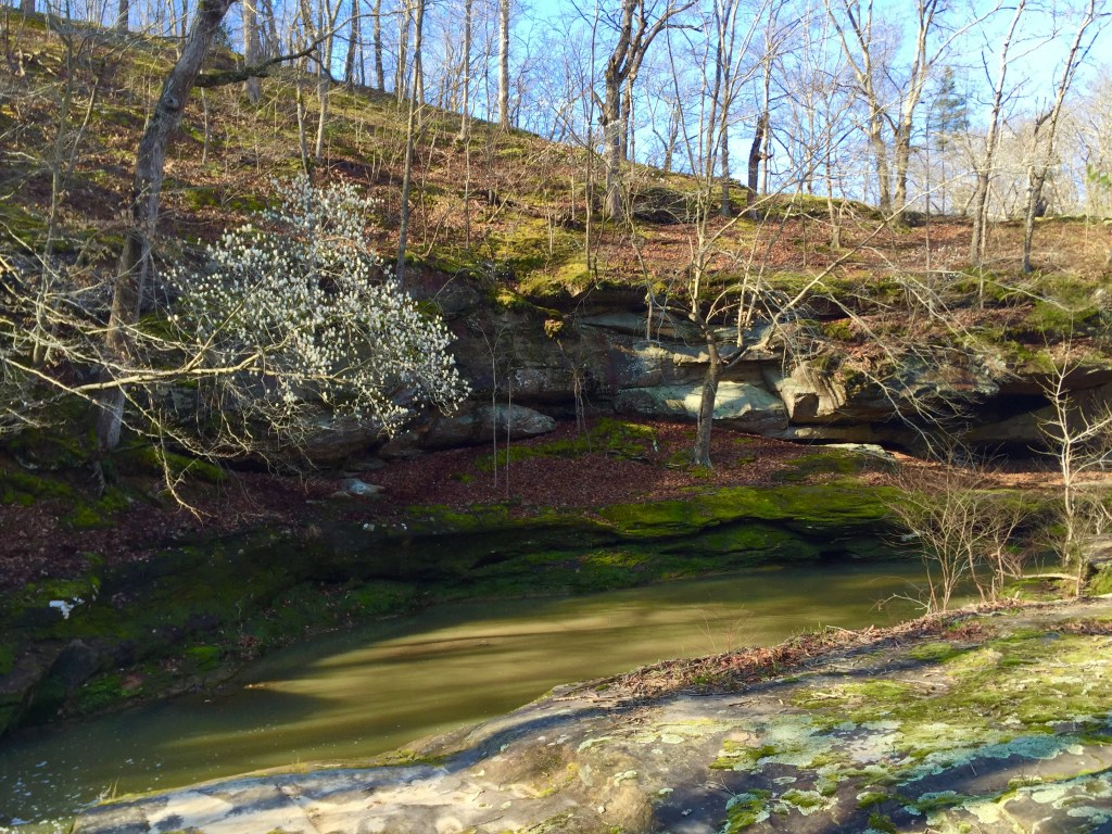 Piney Creek Ravine Nature Preserve – Illinois – Planned Spontaneity