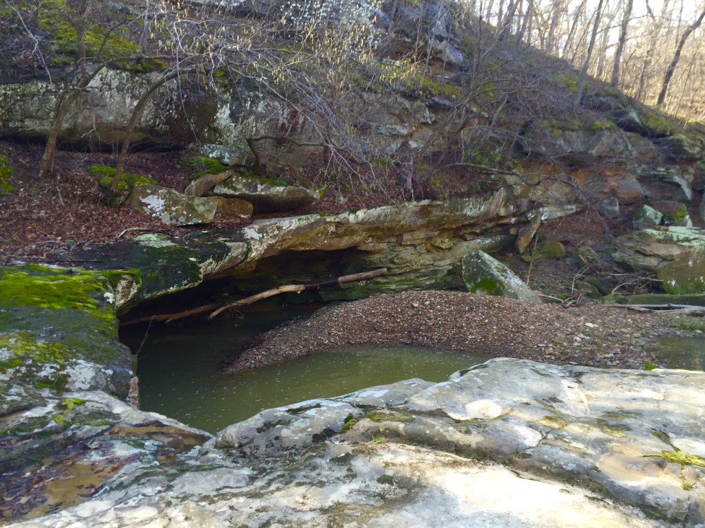 Piney Creek Ravine Nature Preserve – Illinois – Planned Spontaneity