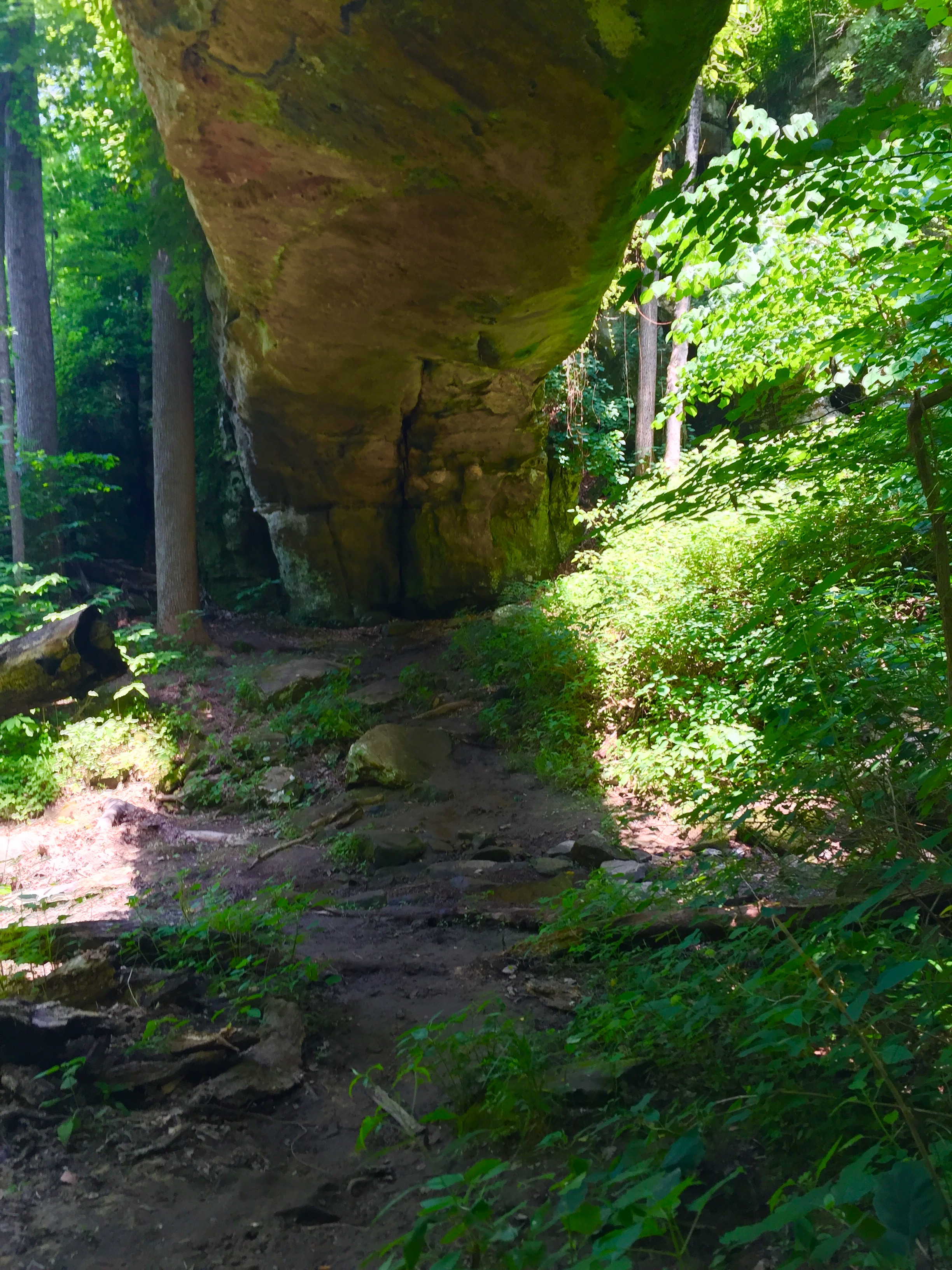 Shawnee National Forest – Illinois – Planned Spontaneity