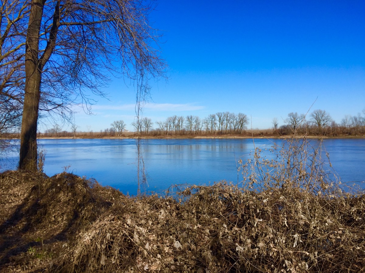 Columbia Bottom Conservation Area – Missouri – Planned Spontaneity