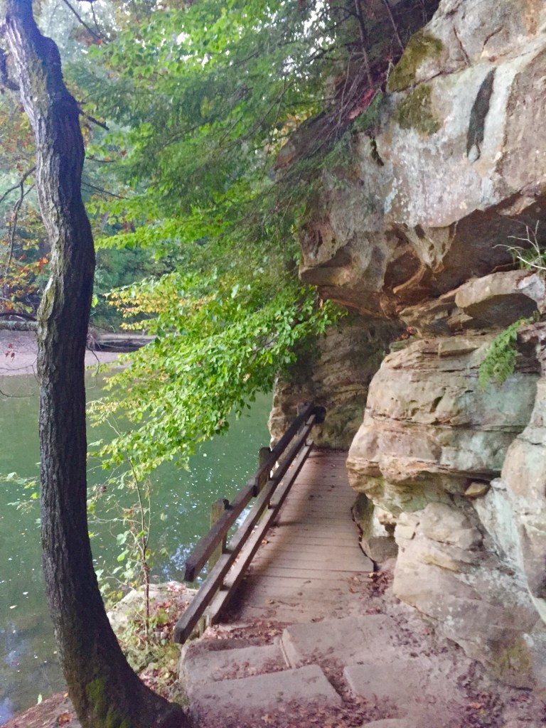 Turkey Run State Park – Indiana – Planned Spontaneity