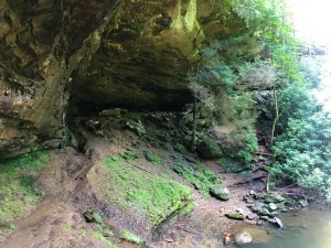 Colditz Cove State Natural Area – Tennessee – Planned Spontaneity