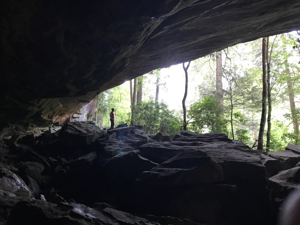 Colditz Cove State Natural Area – Tennessee – Planned Spontaneity