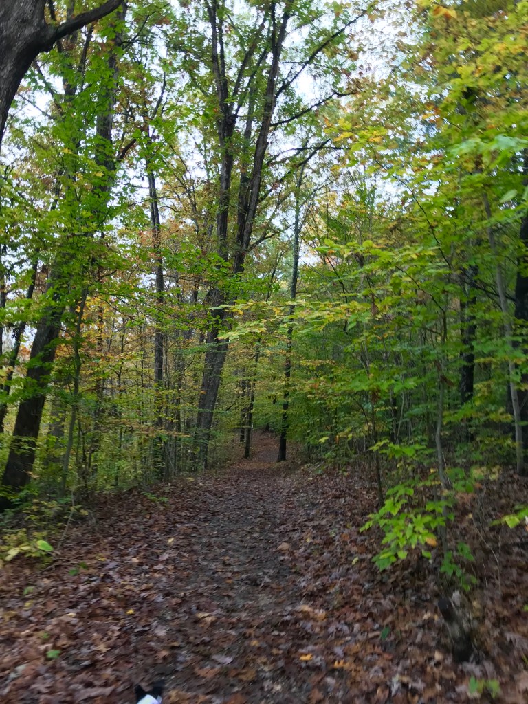 Hemlock Cliffs – Indiana – Planned Spontaneity