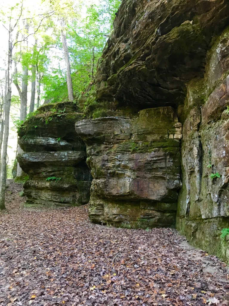 Rim Rock Trail – Illinois – Planned Spontaneity