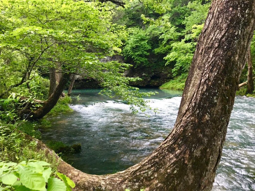 Blue Spring – Missouri – Planned Spontaneity