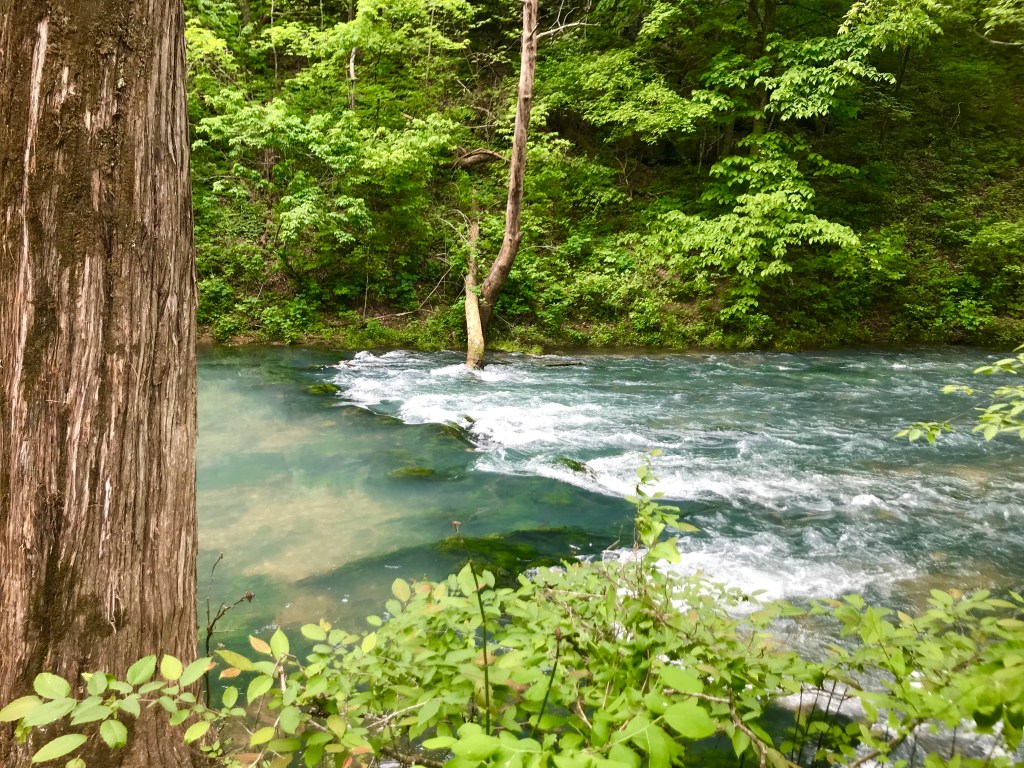 Blue Spring – Missouri – Planned Spontaneity