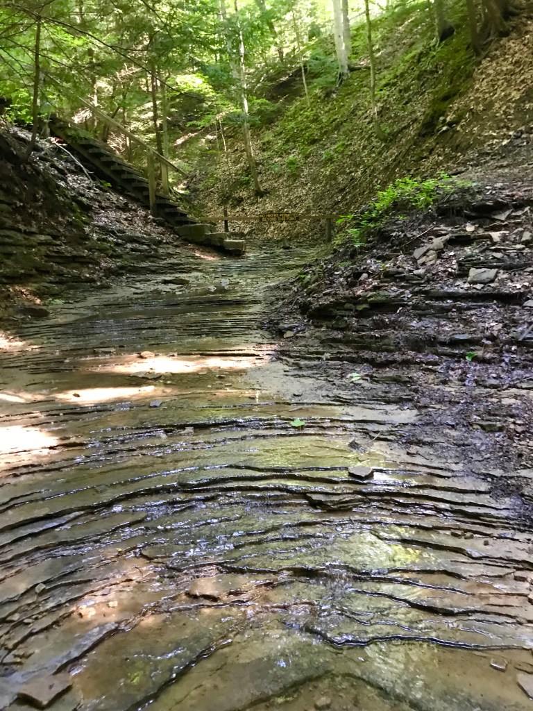 Turkey Run State Park – Indiana – Planned Spontaneity
