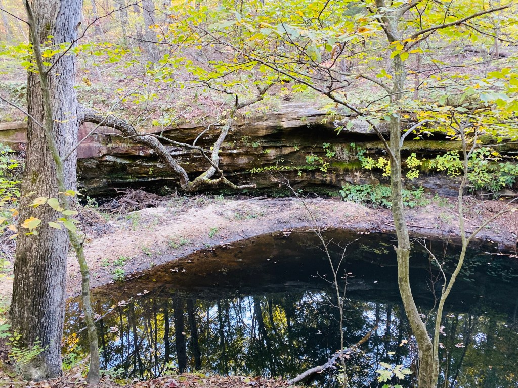 Don Robinson State Park – Missouri – Planned Spontaneity