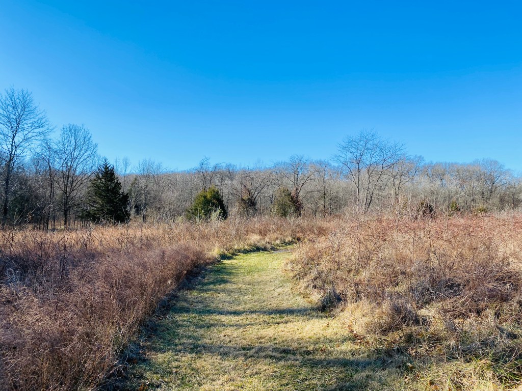 Robertsville State Park – Missouri – Planned Spontaneity