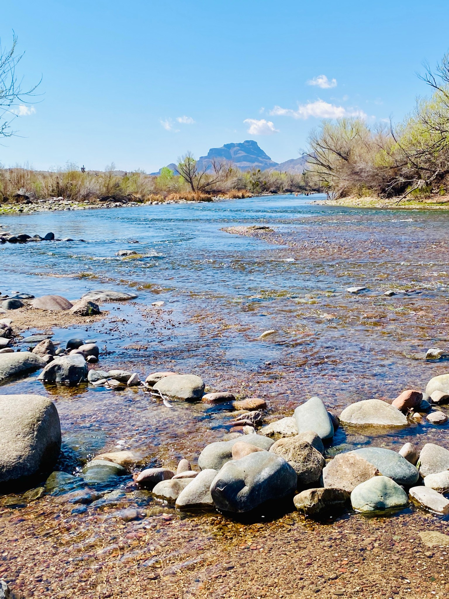 The Salt River – Arizona – Planned Spontaneity