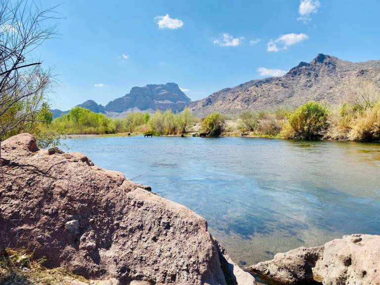 The Salt River – Arizona – Planned Spontaneity
