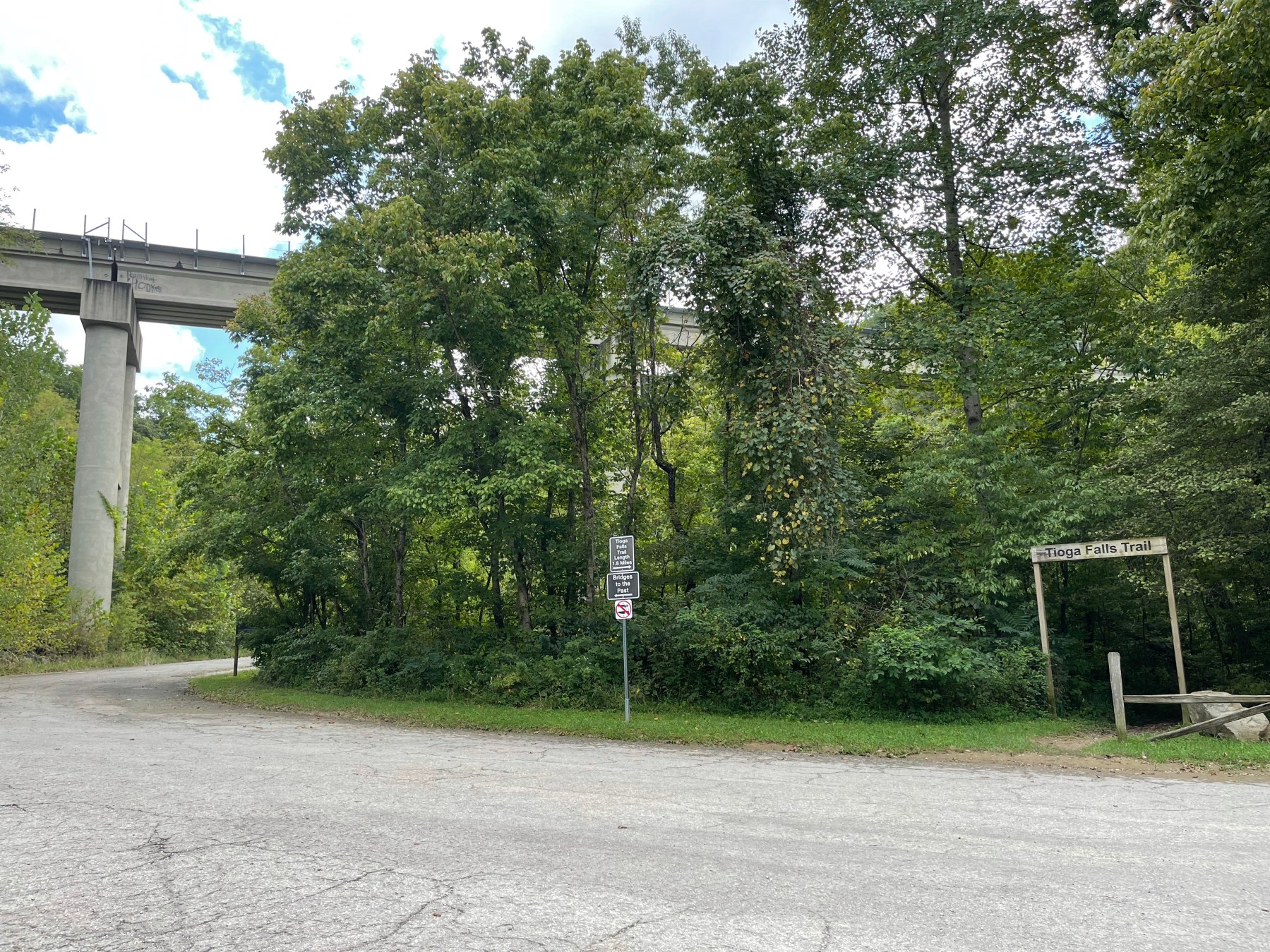 Tioga Falls – Kentucky – Planned Spontaneity