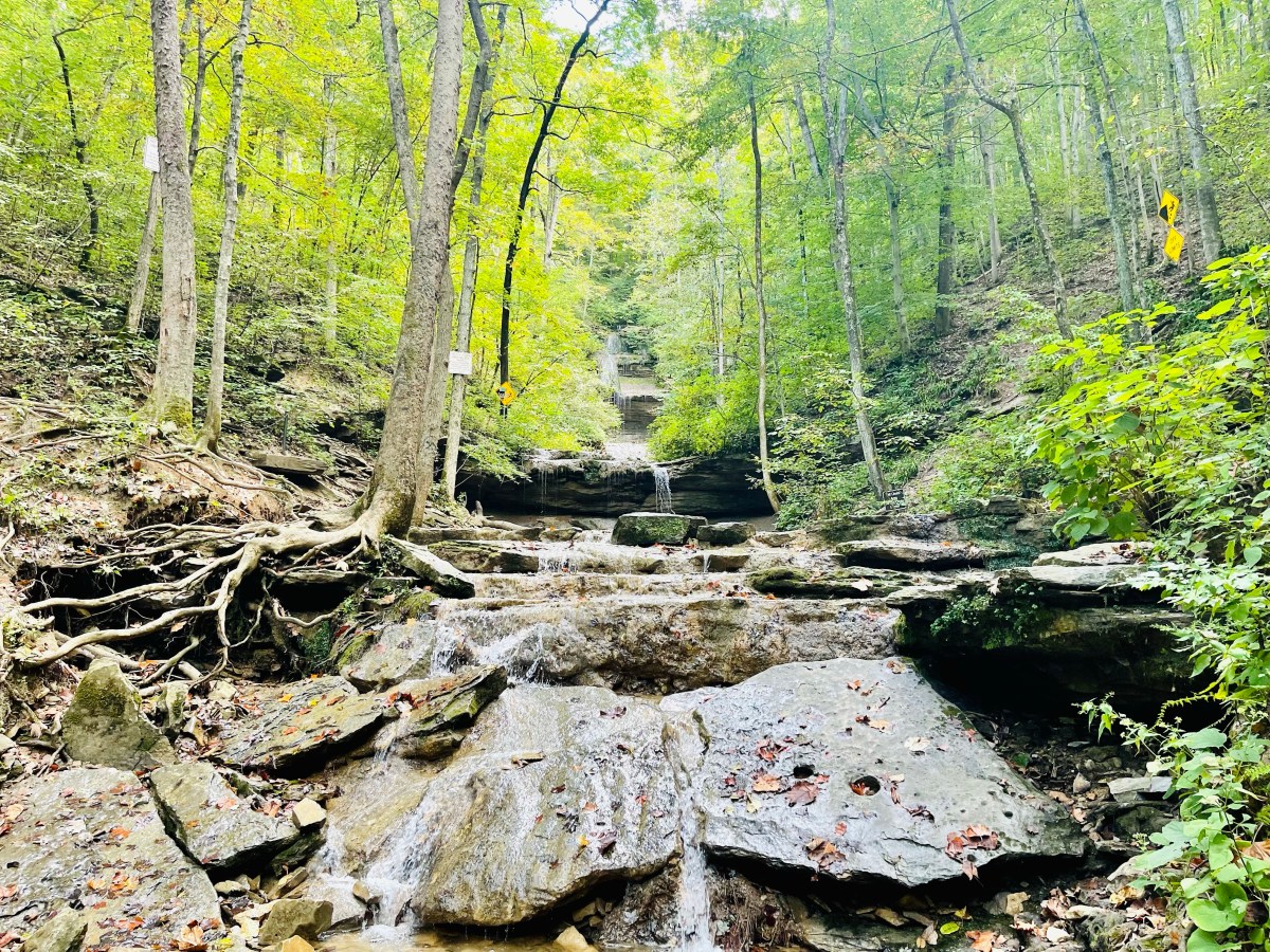 Tioga Falls – Kentucky – Planned Spontaneity
