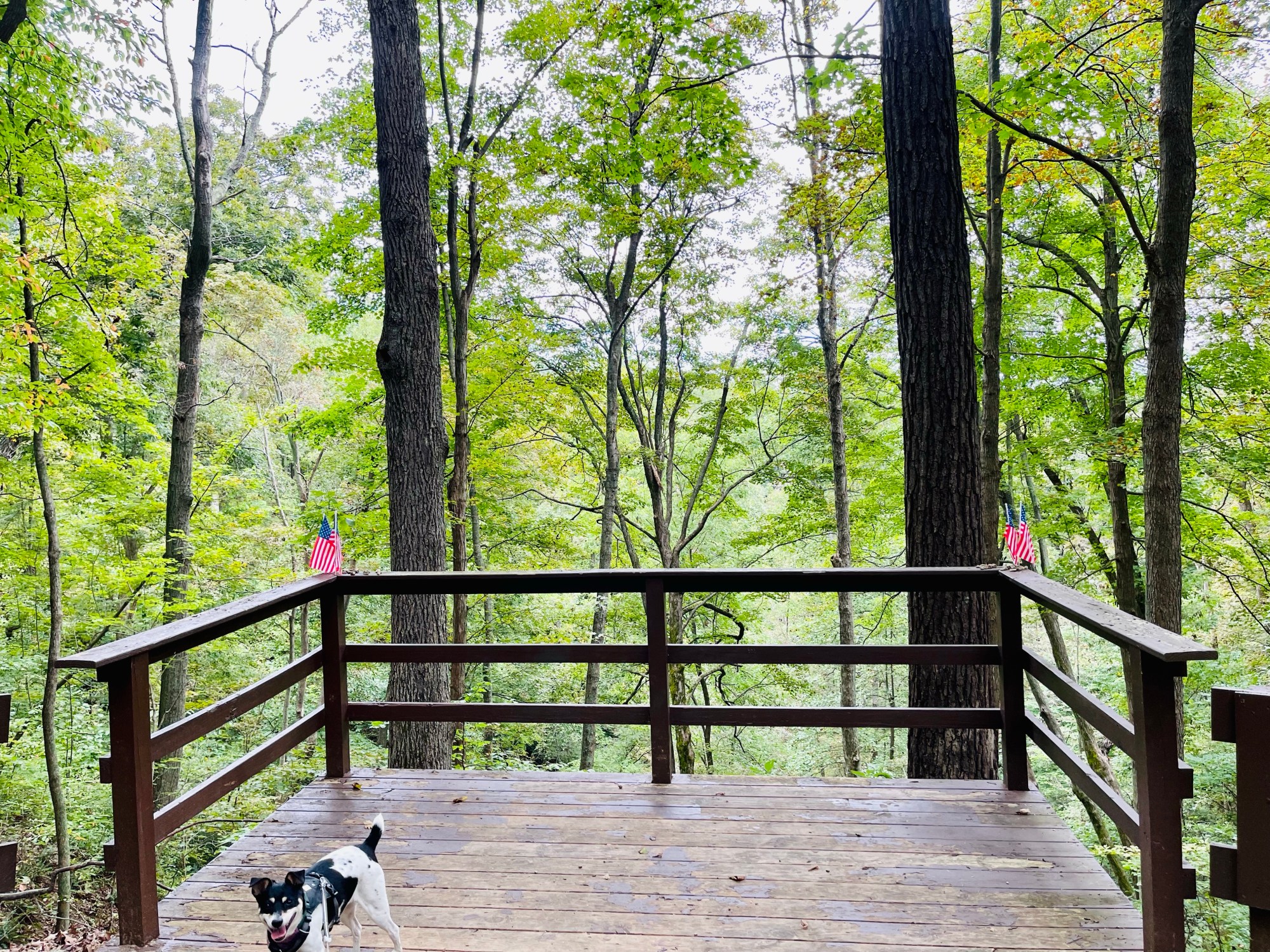 Saunders Springs Nature Preserve – Kentucky – Planned Spontaneity
