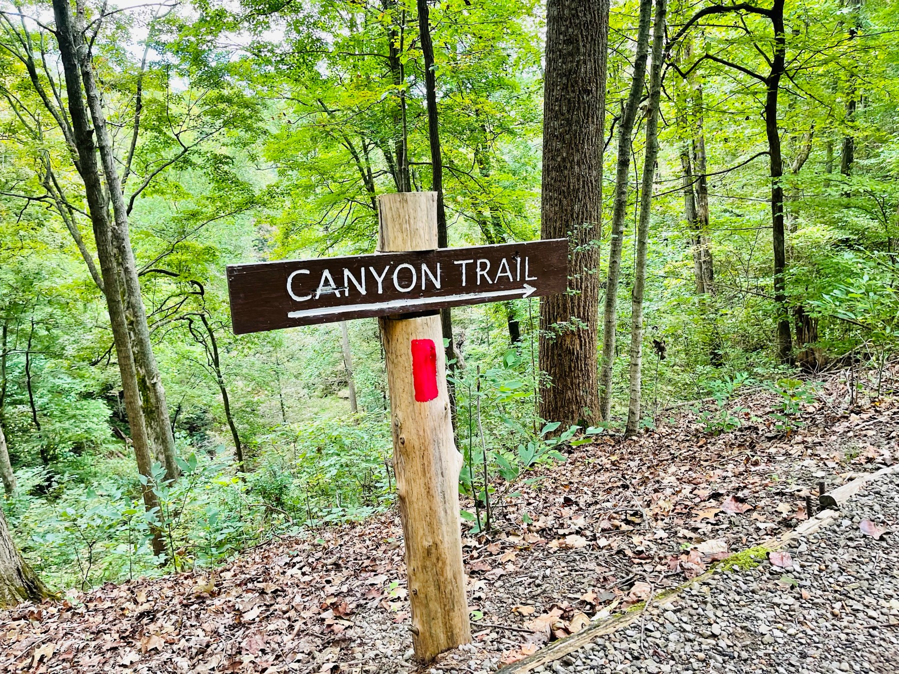 Saunders Springs Nature Preserve – Kentucky – Planned Spontaneity
