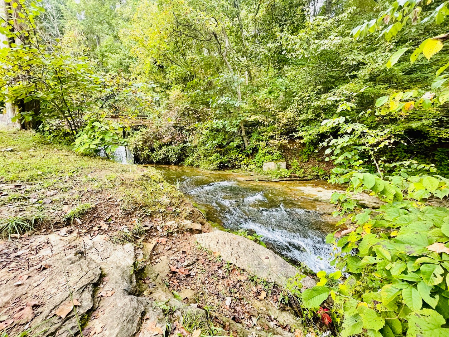 Saunders Springs Nature Preserve – Kentucky – Planned Spontaneity