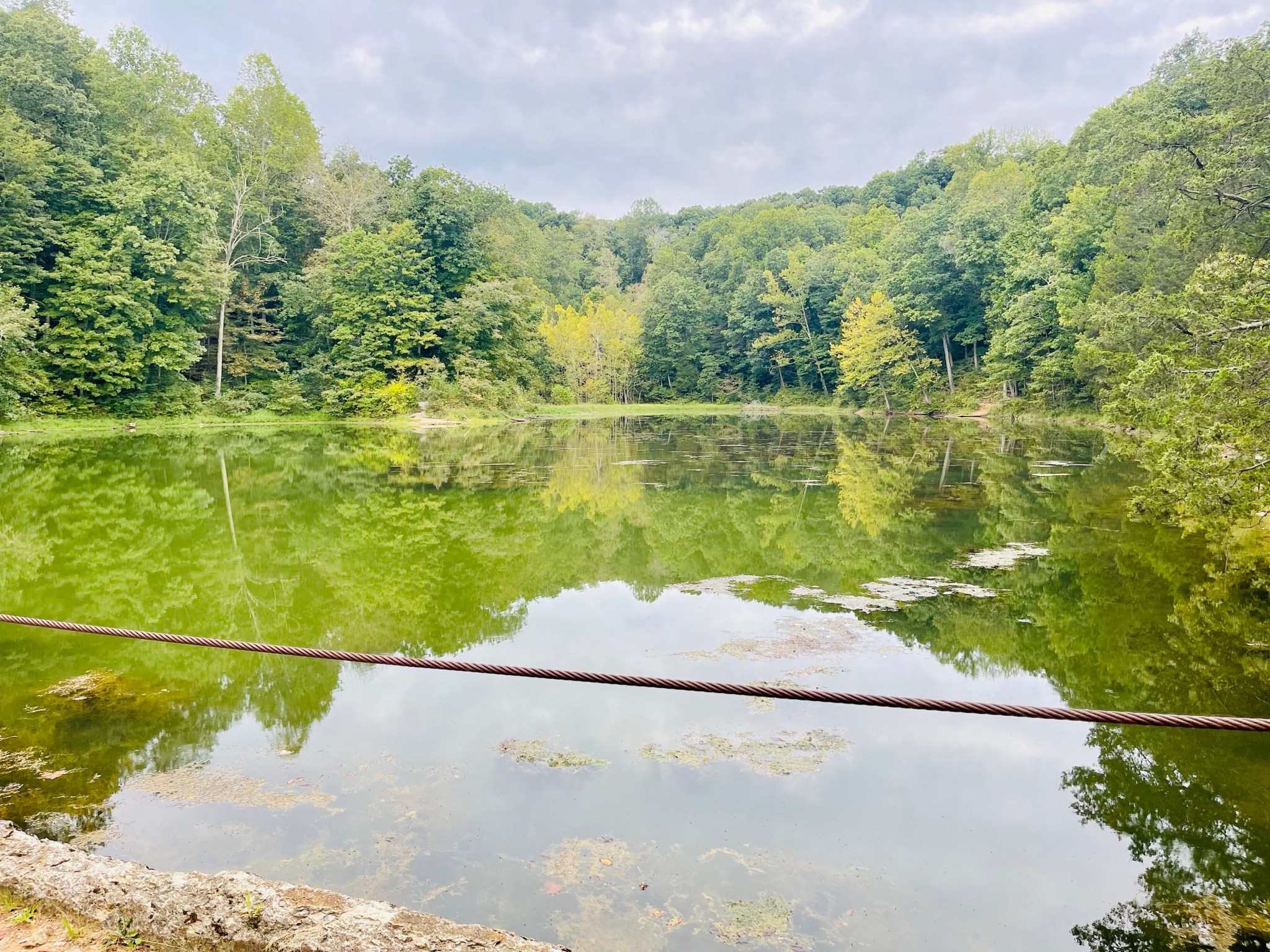 Saunders Springs Nature Preserve – Kentucky – Planned Spontaneity