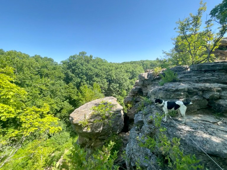Pinnacles Youth Park – Missouri – Planned Spontaneity