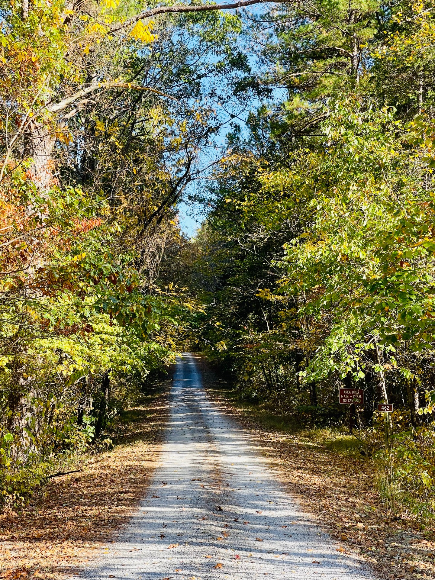 Millstone Bluff Archaeological Area – Illinois – Planned Spontaneity
