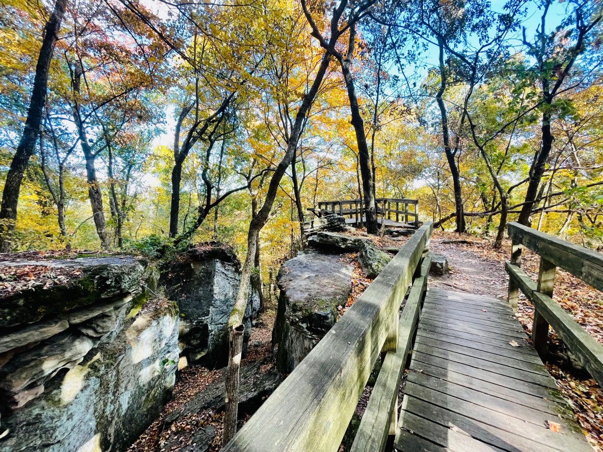 Millstone Bluff Archaeological Area – Illinois – Planned Spontaneity