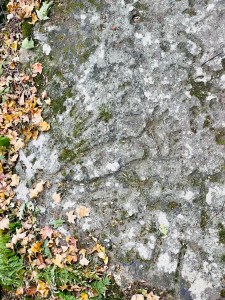 Millstone Bluff Archaeological Area – Illinois – Planned Spontaneity