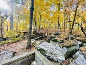 Millstone Bluff Archaeological Area – Illinois – Planned Spontaneity