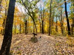 Millstone Bluff Archaeological Area – Illinois – Planned Spontaneity
