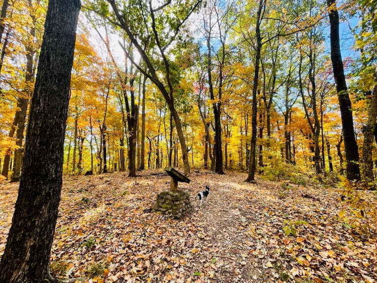 Millstone Bluff Archaeological Area – Illinois – Planned Spontaneity