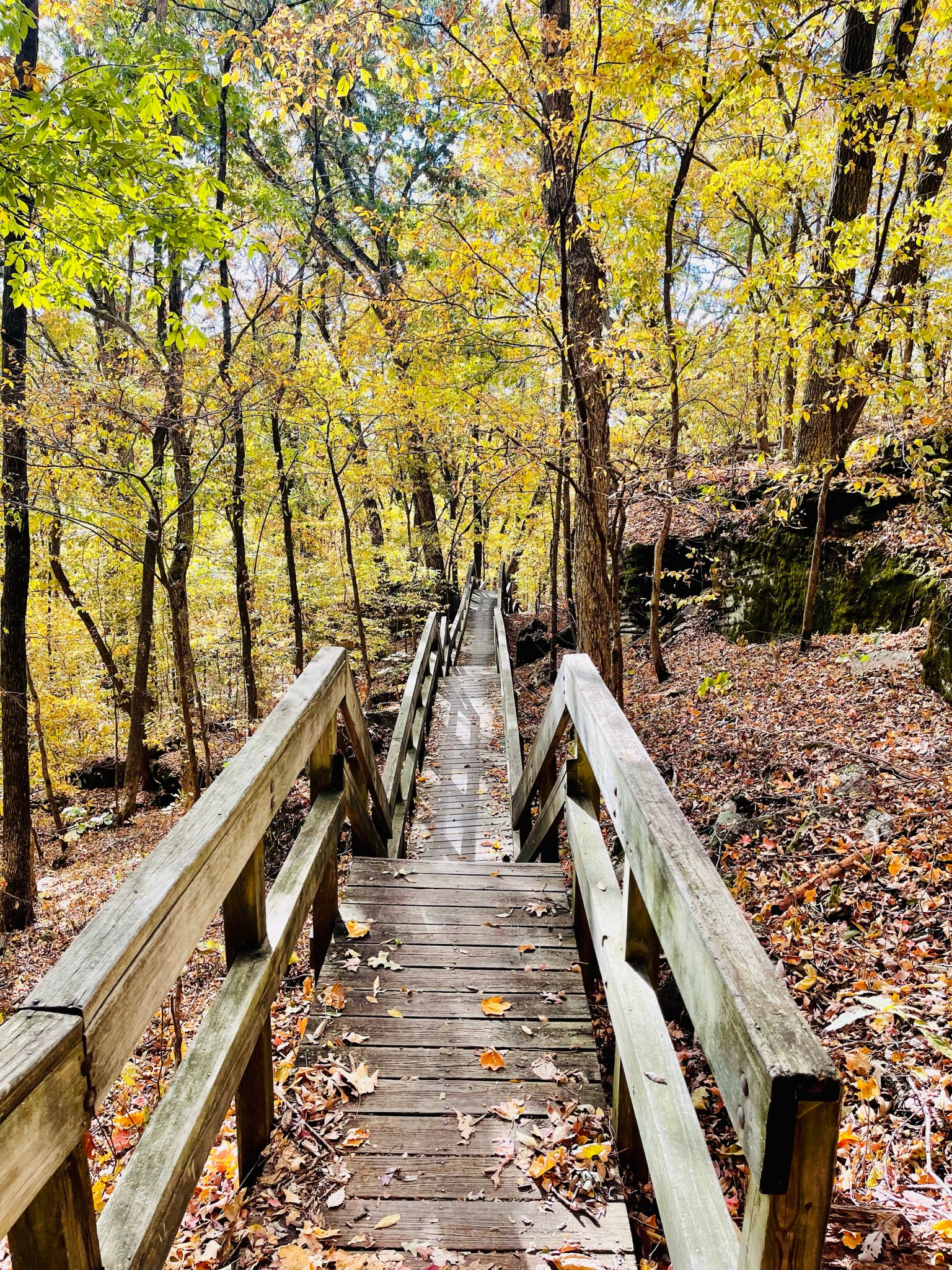 Millstone Bluff Archaeological Area – Illinois – Planned Spontaneity