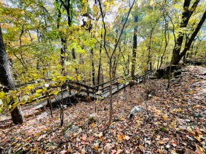 Millstone Bluff Archaeological Area – Illinois – Planned Spontaneity