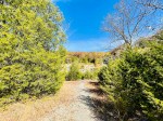 Millstone Bluff Archaeological Area – Illinois – Planned Spontaneity