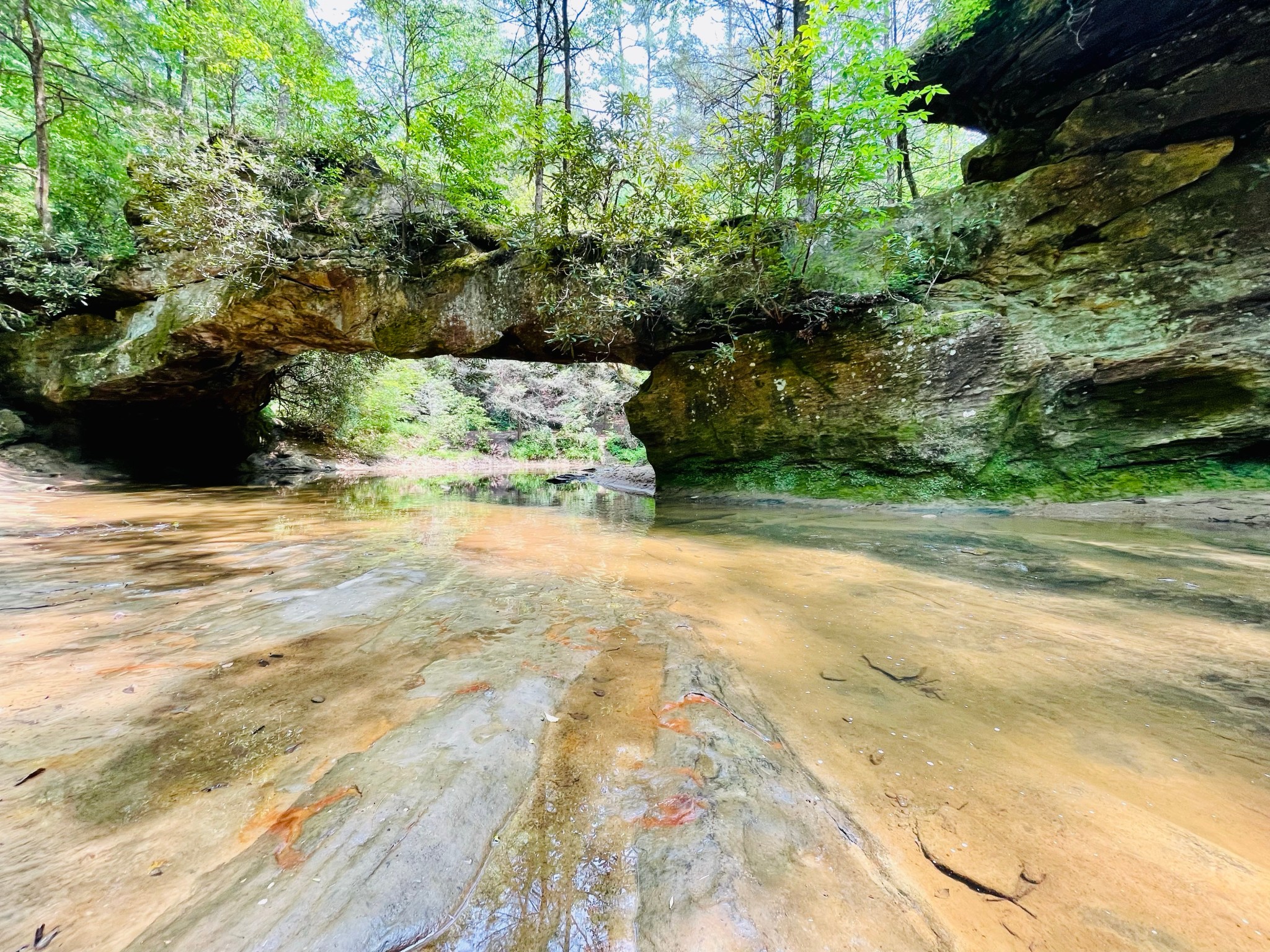 Rock Bridge & Creation Falls – Kentucky – Planned Spontaneity