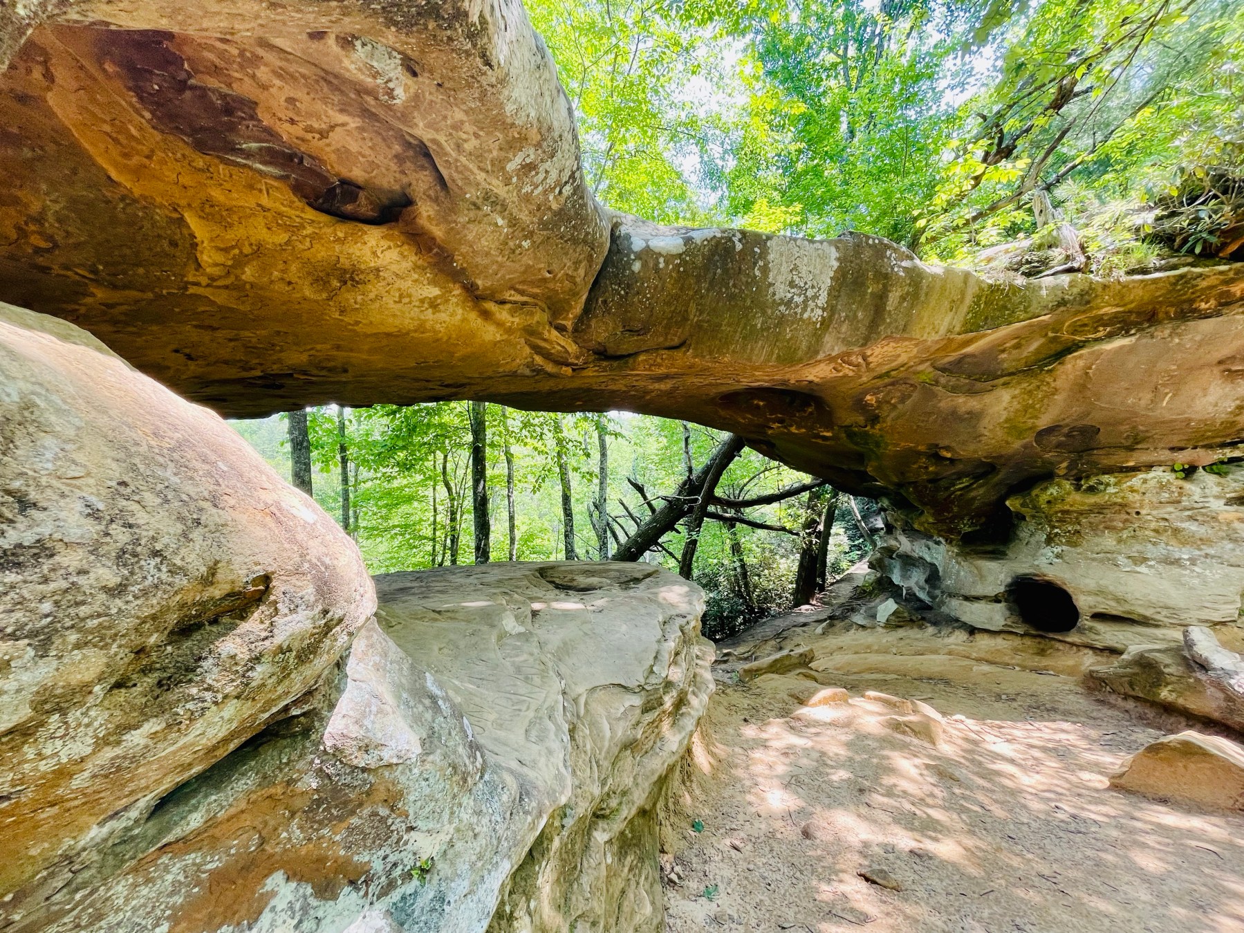 Rock Bridge & Creation Falls – Kentucky – Planned Spontaneity